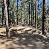 Mars Hill Trail, Arizona - 1,139 Reviews, Map | AllTrails