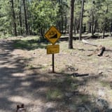 Mars Hill Trail, Arizona - 1,139 Reviews, Map | AllTrails