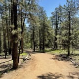Mars Hill Trail, Arizona - 1,139 Reviews, Map | AllTrails