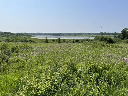 Best Hikes and Trails in Richard Bong State Recreation Area | AllTrails