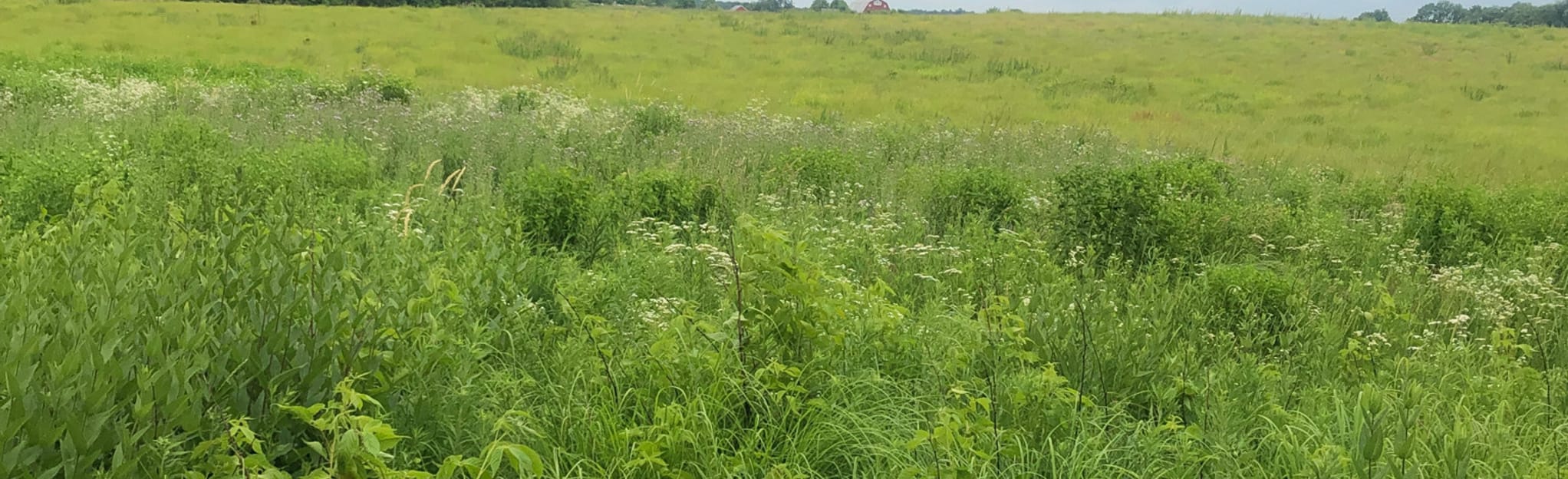 AllTrails | Prophetstown Homestead & Indian Village Loop: 16 Reviews ...