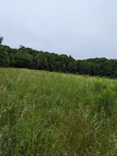 Best Hikes and Trails in Howard Hill Conservation Area | AllTrails