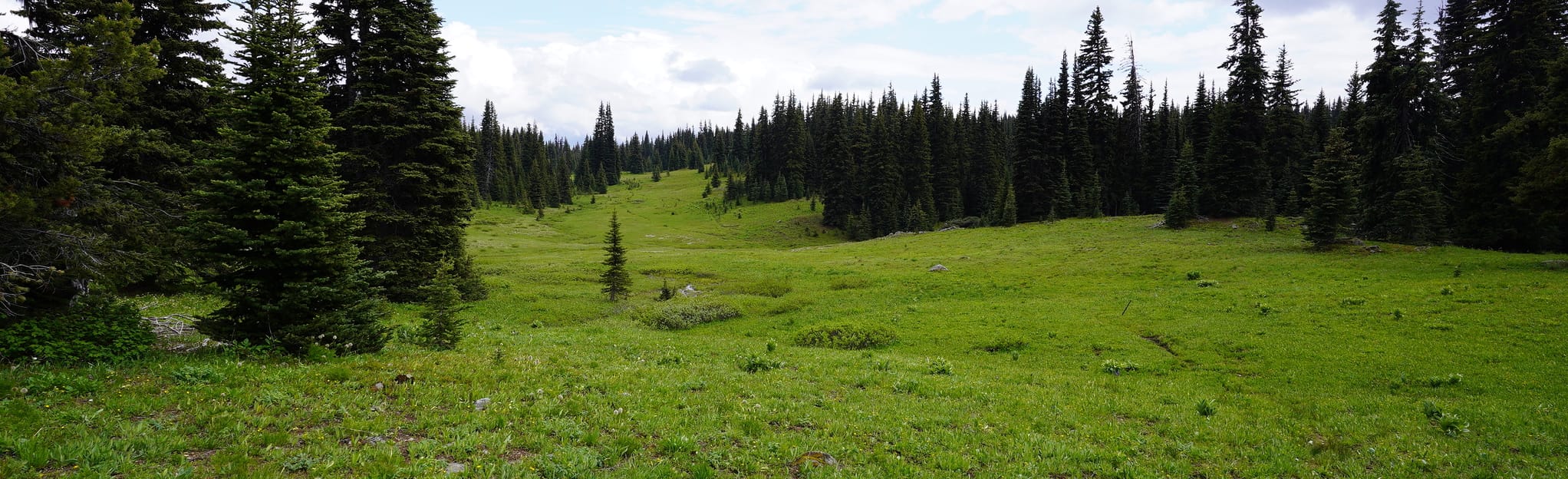 Nicomen Lake Trail: 1 Reviews, Map - British Columbia, Canada | AllTrails