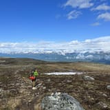 Kesugi Ridge (Curry Ridge) Trail, Alaska - 223 Reviews, Map | AllTrails