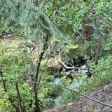 Eagle Ridge Trail, Nevada - 641 Reviews, Map | AllTrails