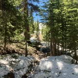 Hope Pass via Willis Gulch Trail, Colorado - 399 Reviews, Map | AllTrails