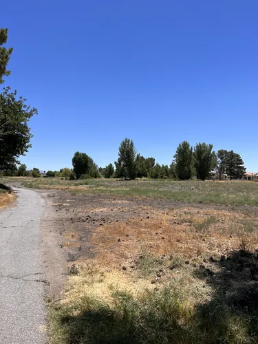 Best Hikes and Trails in Pahrump | AllTrails