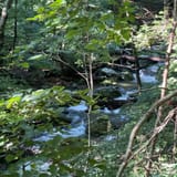 Cedar Run Falls Trail, Virginia - 440 Reviews, Map | AllTrails