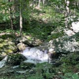 Cedar Run Falls Trail, Virginia - 440 Reviews, Map | AllTrails