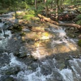 Cedar Run Falls Trail, Virginia - 474 Reviews, Map | AllTrails