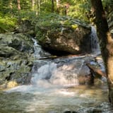 Cedar Run Falls Trail, Virginia - 474 Reviews, Map | AllTrails