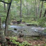 Cedar Run Falls Trail, Virginia - 474 Reviews, Map | AllTrails
