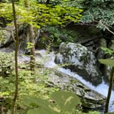 Cedar Run Falls Trail, Virginia - 474 Reviews, Map | AllTrails