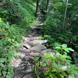 Cedar Run Falls Trail, Virginia - 474 Reviews, Map | AllTrails