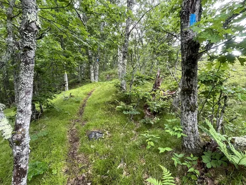 Best Hikes and Trails in Frye Mountain State Game Management Area ...