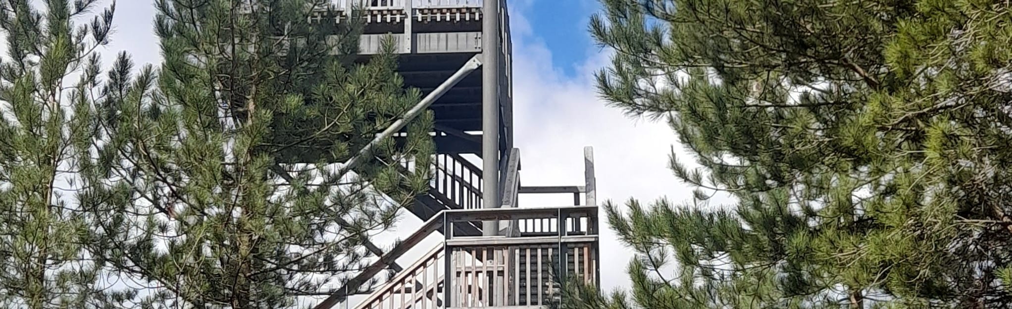 Hill 99 Trail: 46 Reviews, Map - Moray, Scotland | AllTrails