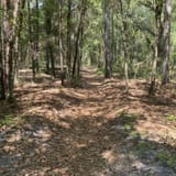 Santos and Vortex Area Bike Trails Loop, Florida - 728 Reviews, Map ...