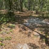 Santos and Vortex Area Bike Trails Loop, Florida - 728 Reviews, Map ...