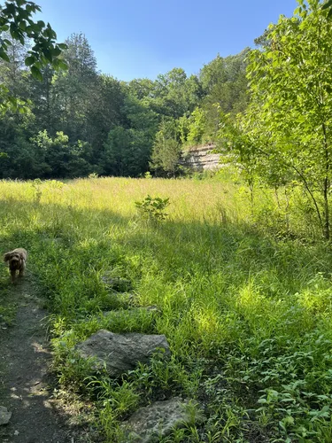 Best Hikes and Trails in Edwin Warner Park | AllTrails