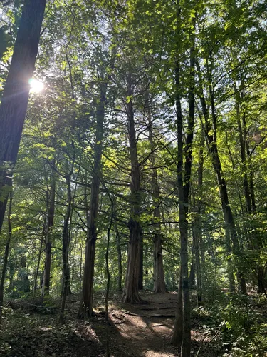 Best Hikes and Trails in Edwin Warner Park | AllTrails