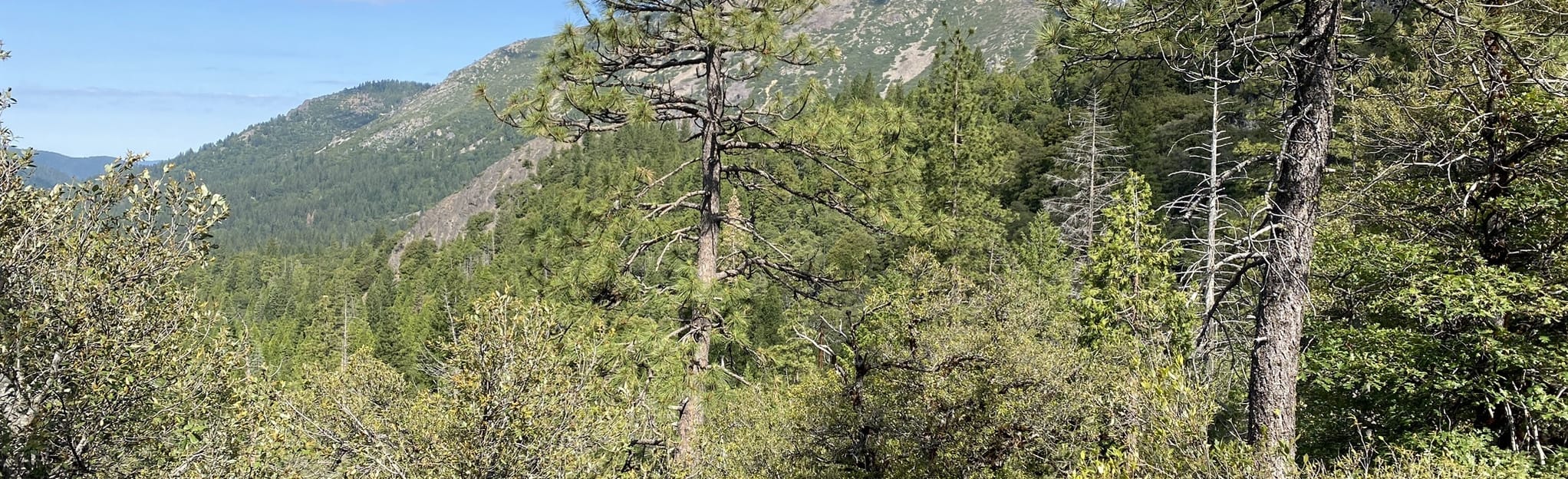 Wild Plum PCT Access Trail: 22 Fotos - Kalifornien | AllTrails