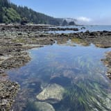 Rialto Beach Trail, Washington - 341 Reviews, Map | AllTrails