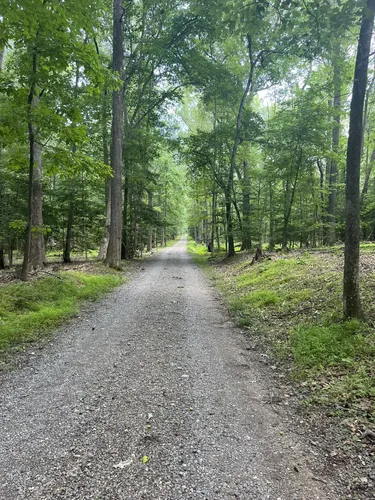 2023 Best Partially Paved Trails in King George | AllTrails