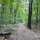 Loree Forest Loop, Ontario, Canada - 1,101 Reviews, Map | AllTrails