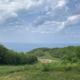 Loree Forest Loop, Ontario, Canada - 1,101 Reviews, Map | AllTrails