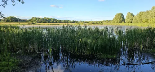 10 Best Trails, Walks, and Paths in Newcastle upon Tyne | AllTrails