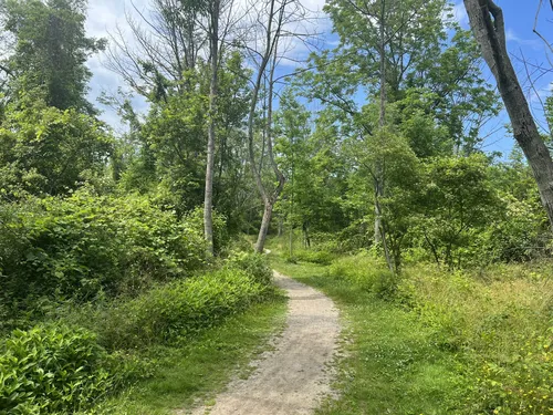 10 Best Trails and Hikes in Webster | AllTrails
