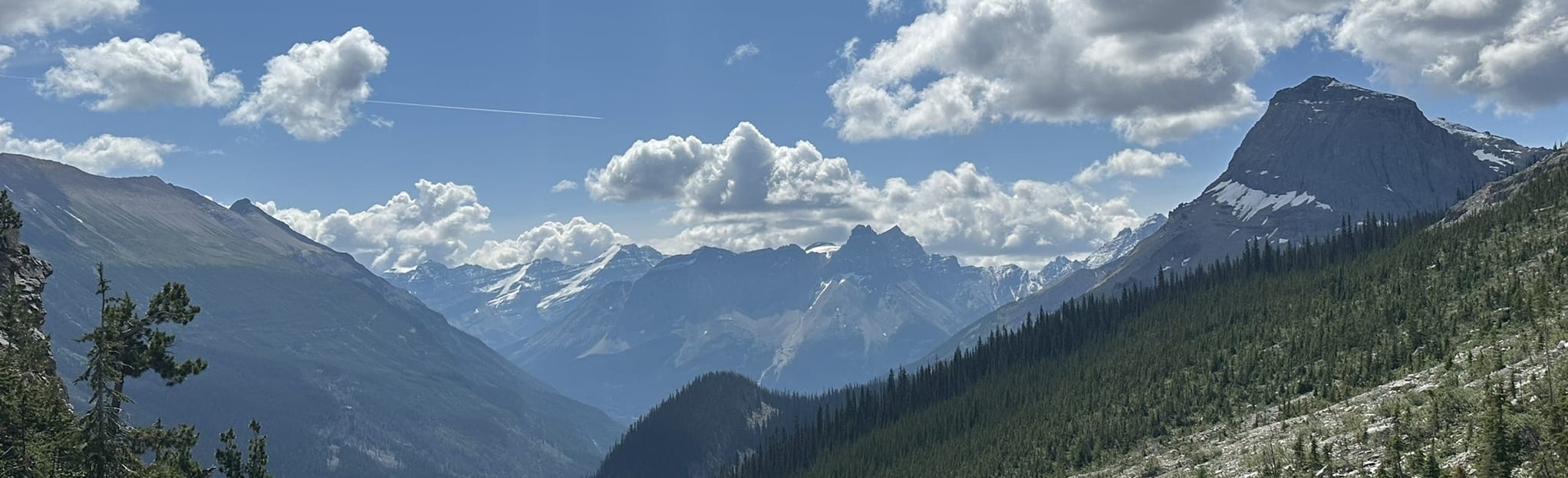 Iceline Summit, British Columbia, Canada - 684 Reviews, Map | AllTrails