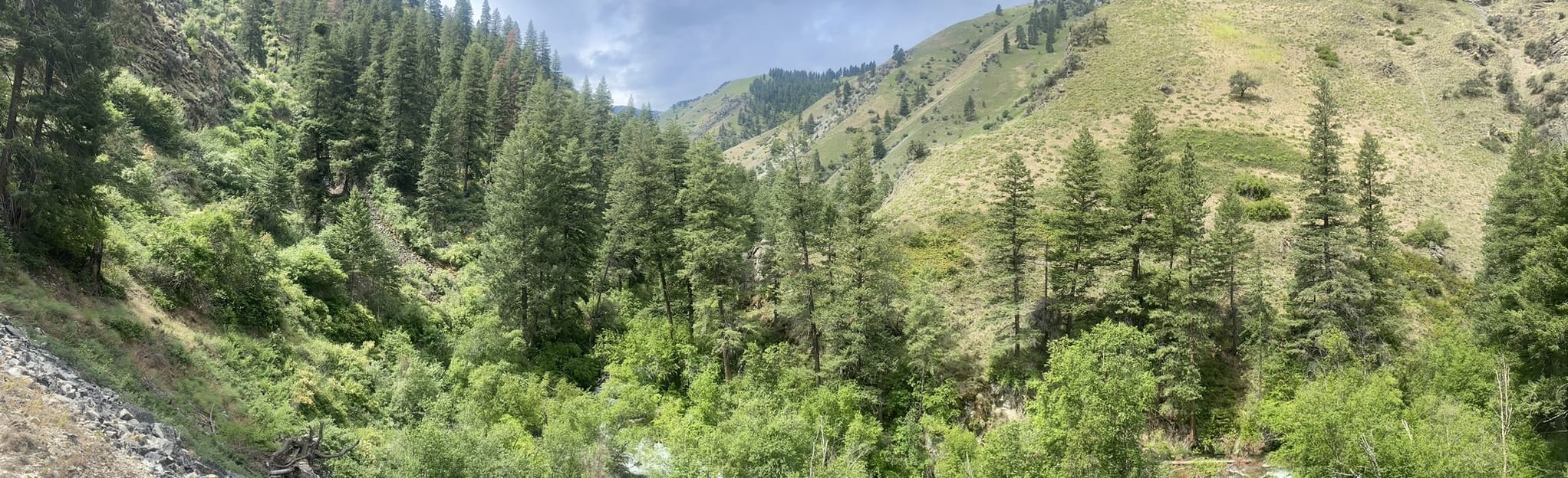 Rapid River Trail, Idaho - 194 Reviews, Map | AllTrails