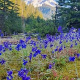 Box Canyon Trail, Washington - 254 Reviews, Map | AllTrails