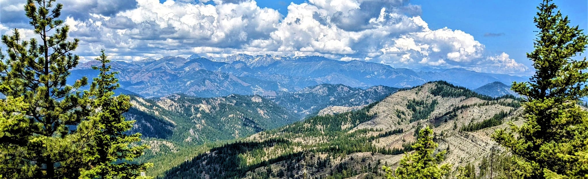 Tronsen Ridge Trail, Washington - 104 Reviews, Map | AllTrails