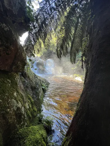 2023 Best Views Trails in Blue Tier Regional Reserve | AllTrails