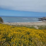 Point Buchon Trail, California - 548 Reviews, Map | AllTrails