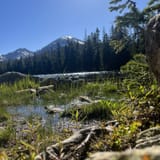 Finch Lake via Finch Lake Trail, Colorado - 292 Reviews, Map | AllTrails