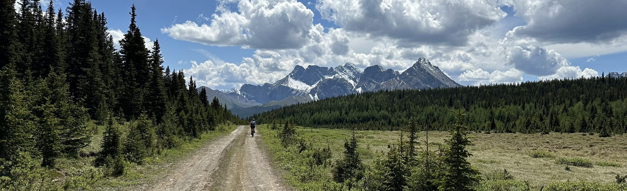 Little Elbow Trail, Alberta, Canada - 50 Reviews, Map | AllTrails