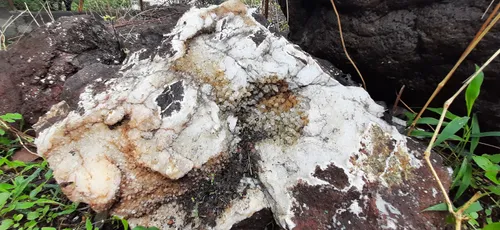 Best Hikes and Trails in Baner-Pashan Biodiversity Park | AllTrails