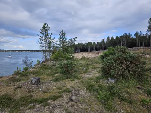 Best Hikes and Trails in Culbin Forest | AllTrails