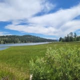 Sagehen Creek Loop, California - 852 Reviews, Map | AllTrails