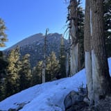 Olancha Peak, California - 45 Reviews, Map | AllTrails