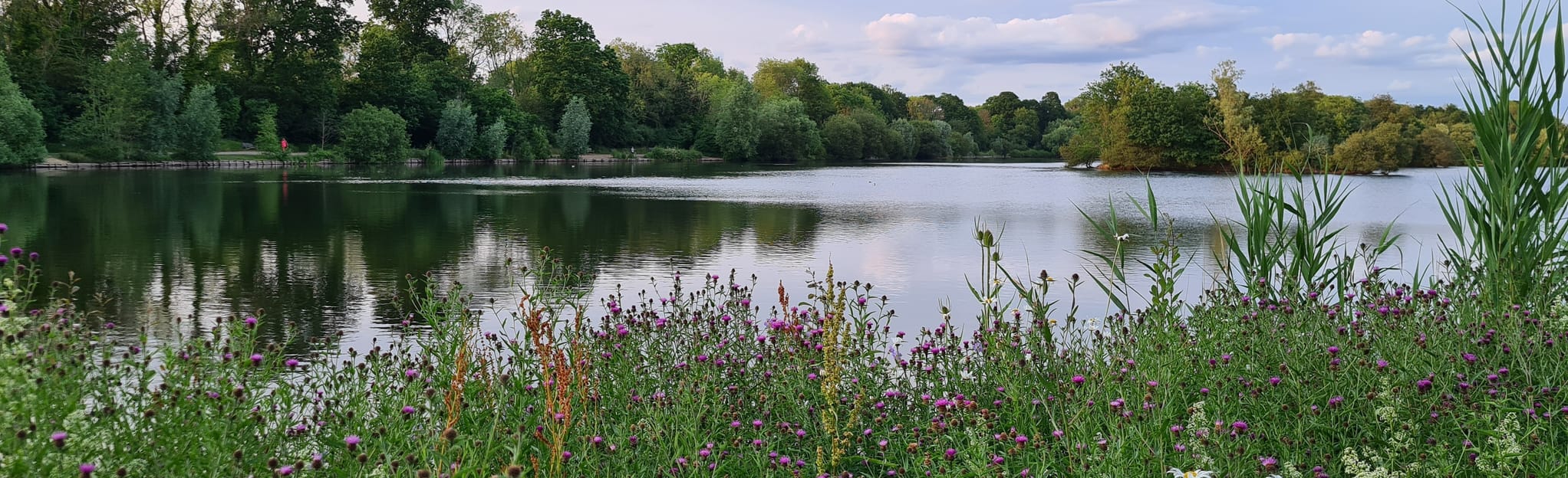 Haysden Country Park Circular: 76 Reviews, Map - Kent, England | AllTrails