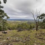 Mount Alexander Loop, Victoria, Australia - 383 Reviews, Map | AllTrails