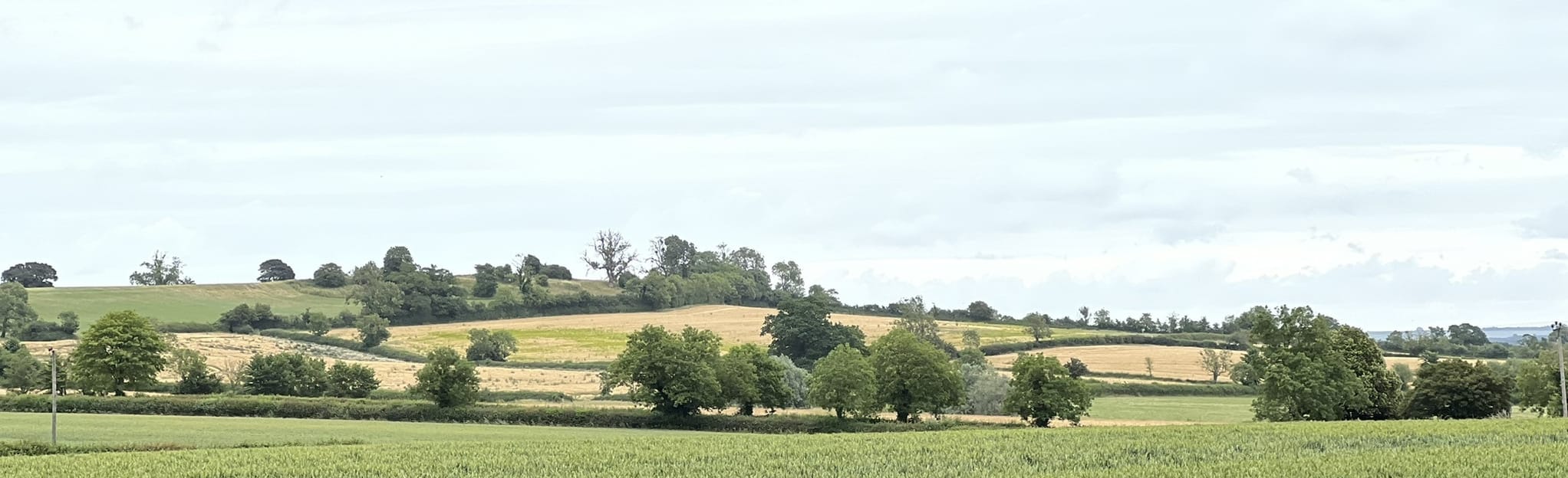 Mells Park Hill Circular, Somerset, England - 4 Reviews, Map | AllTrails