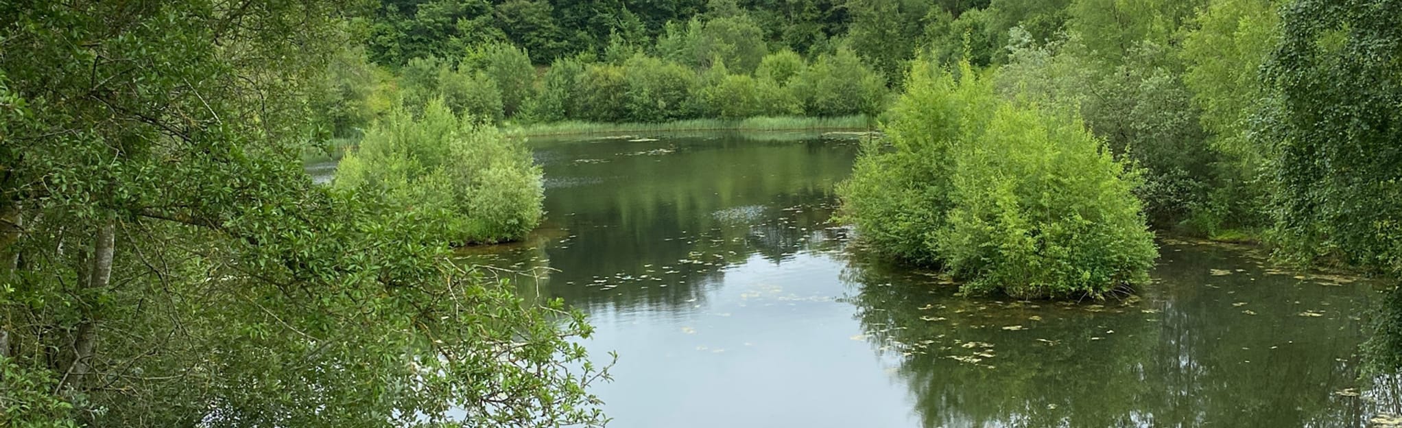 Ryton Pools Country Park Circular, West Midlands, England - 90 Reviews ...