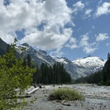 Nooksack Cirque Trail, Washington - 100 Reviews, Map | AllTrails