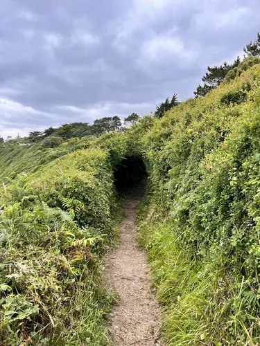 10 Best Trails and Hikes in County Dublin | AllTrails