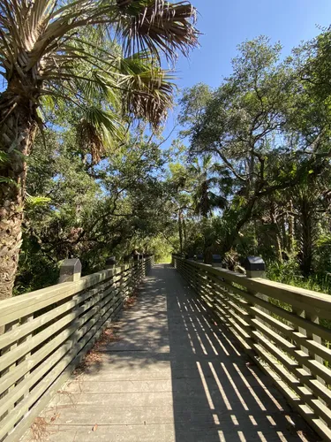 Best Hikes and Trails in Fish Hawk Nature Preserve North | AllTrails